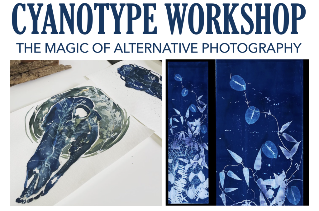 Cyanotype Garden Art Workshop - Delray Beach Historical Society