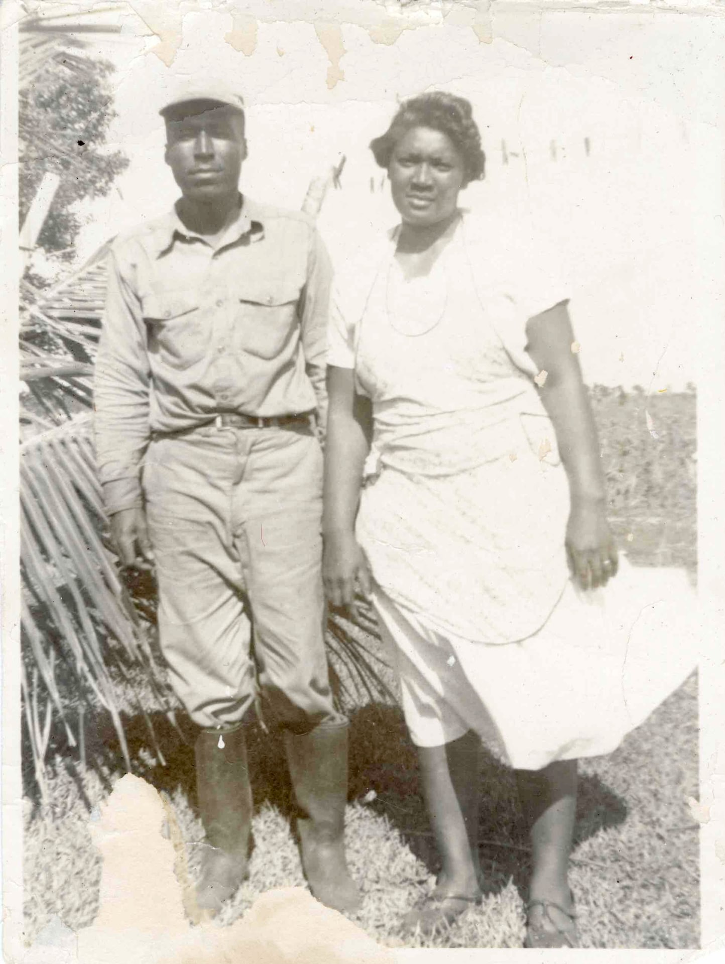The Delray Affair’s Deep Roots: The Agricultural Development of Delray ...