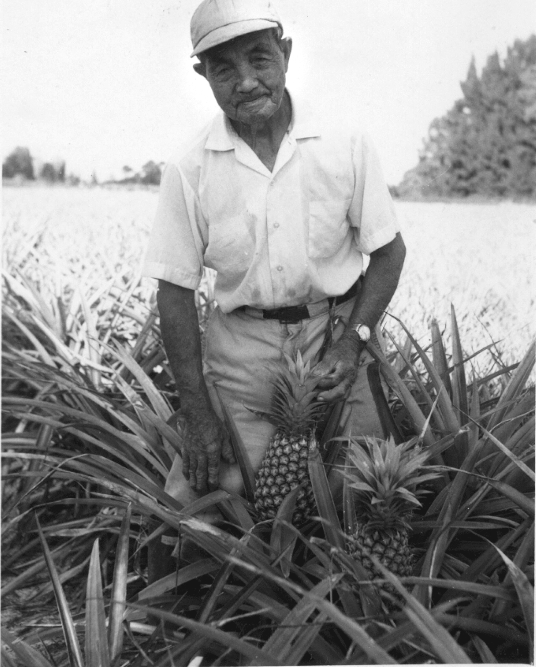 Celebrating AAPI Heritage Month: The History of the Yamato Colony ...