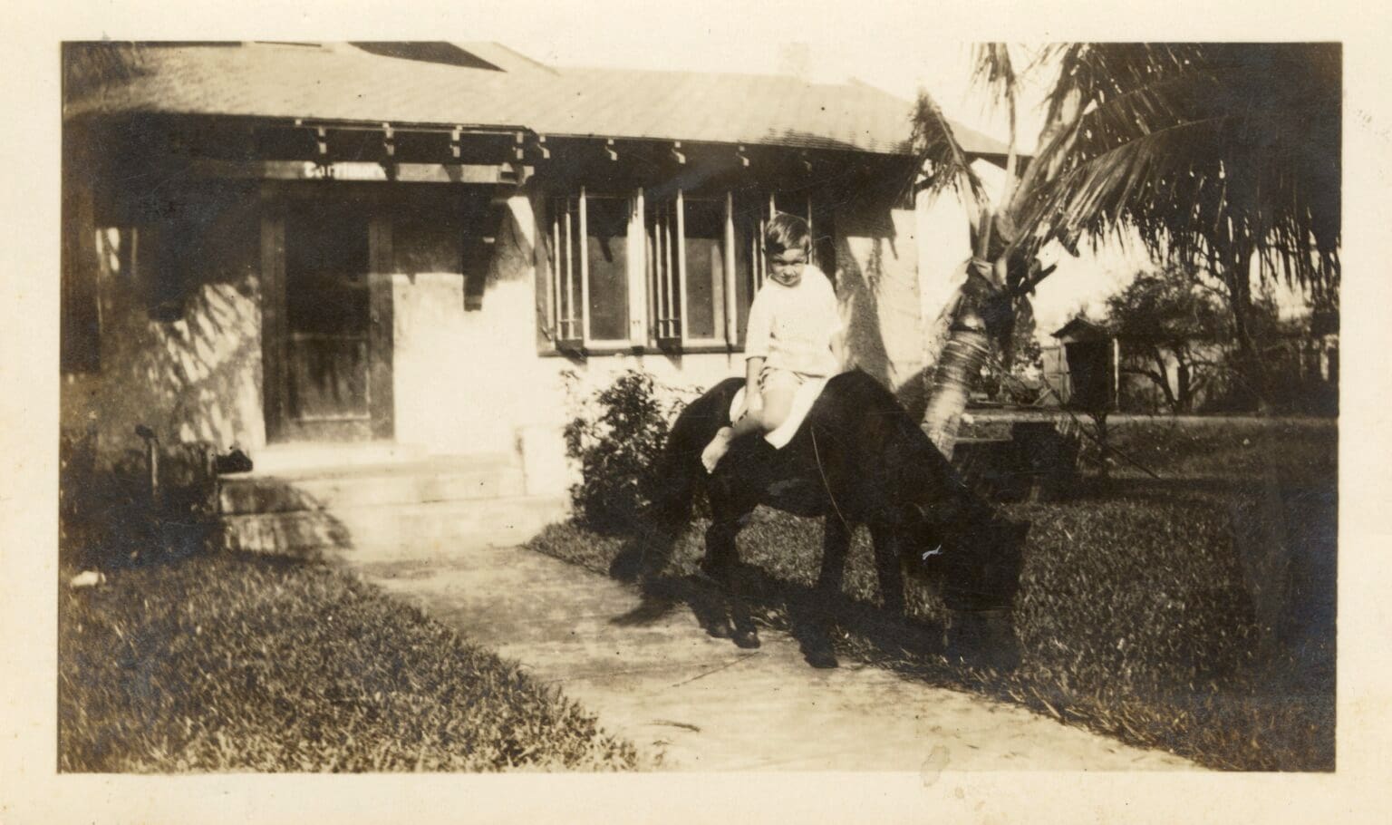 The Cason Family: A Legacy of Influence and Preservation - Delray Beach ...