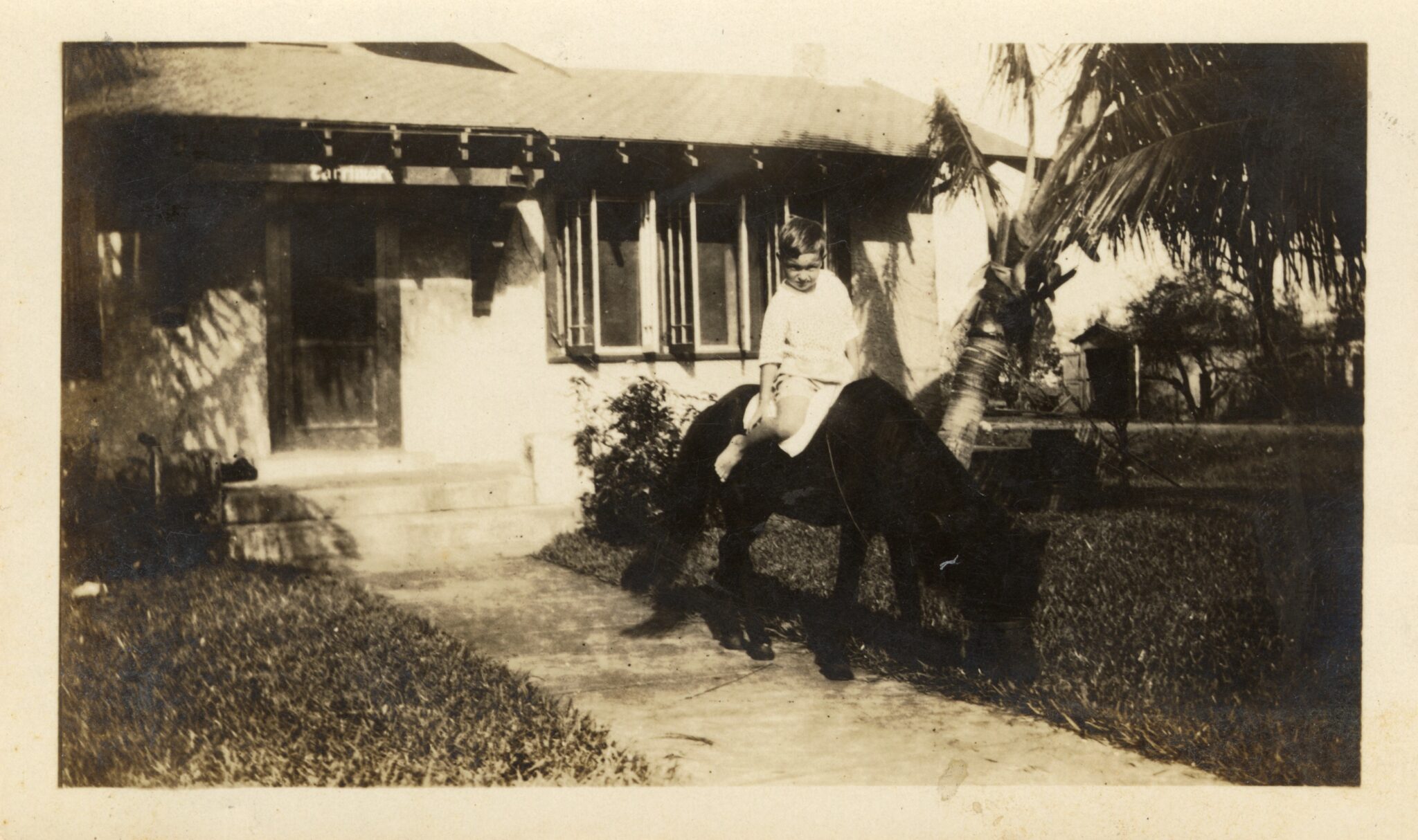 The Cason Family: A Legacy of Influence and Preservation - Delray Beach ...