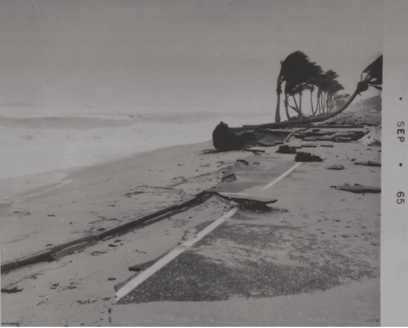 Delray's Beach: How a Critically Eroded Beach Became the Best in ...